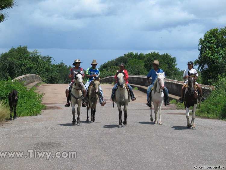 Tiwy.com - Llaneros – Venezuelan cowboys