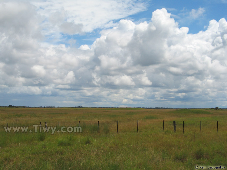 Tiwy.com - Peaceful scenes of the Venezuelan llanos
